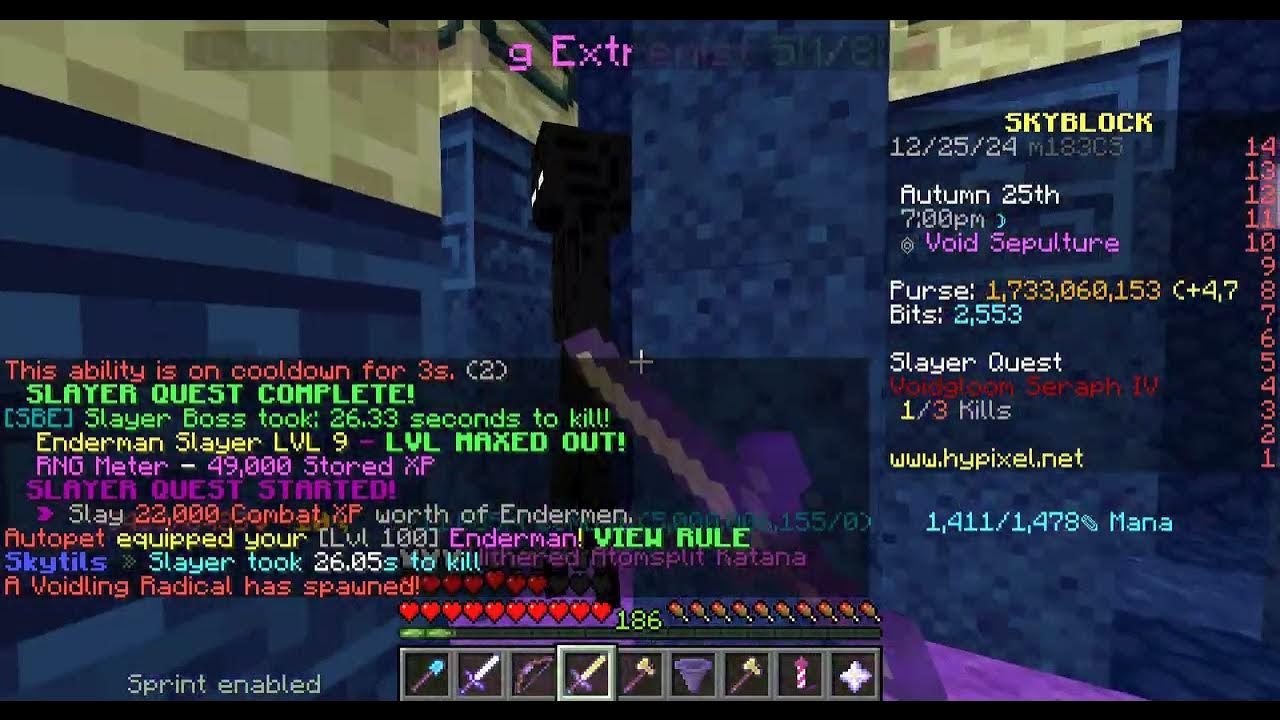 combat xp 5B overflow (hypixel skyblock) - YouTube