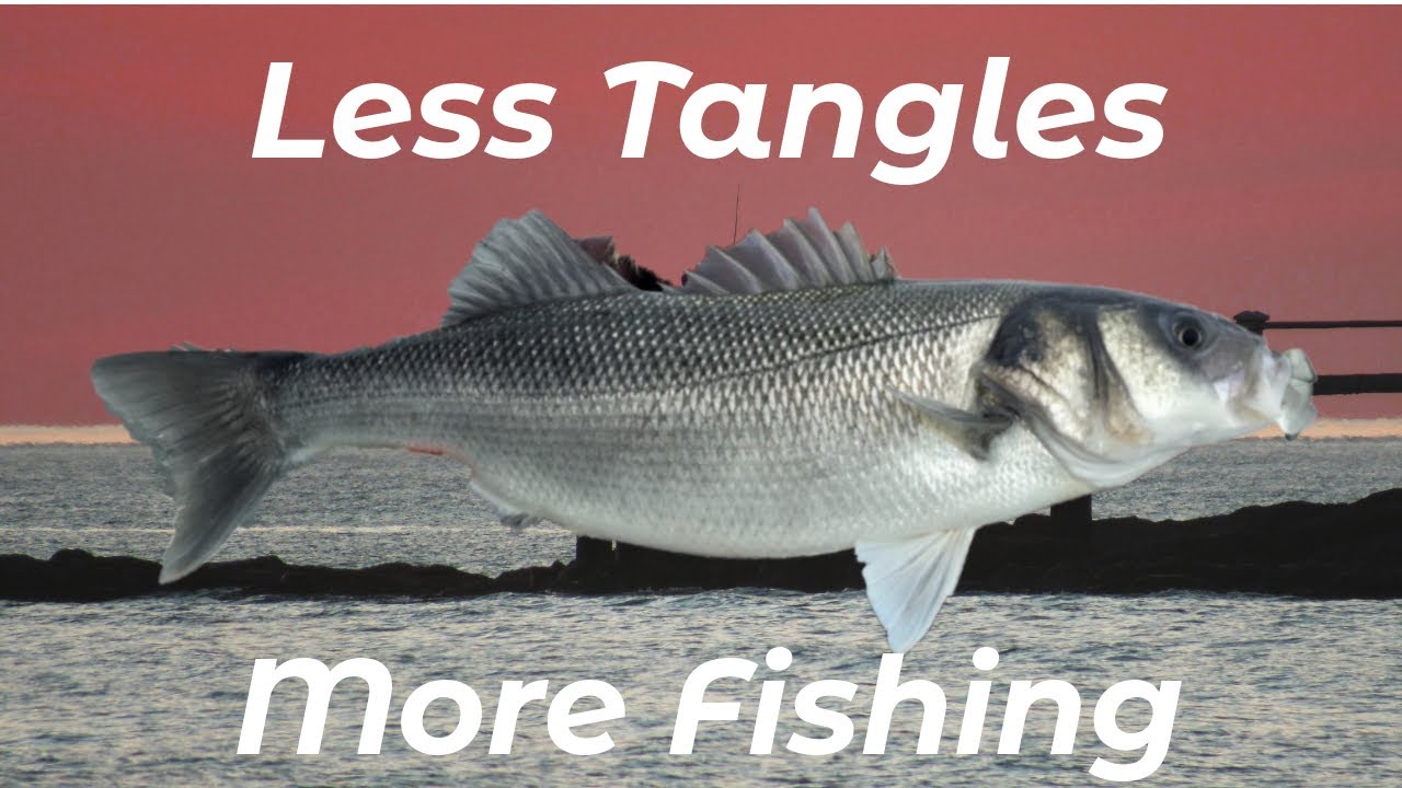 For A Better Fishing Experience - Use Memory Free Mono - Bass Fishing ...