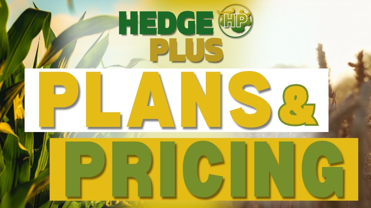 Hedge Plus Marketing Plans and Pricing - YouTube
