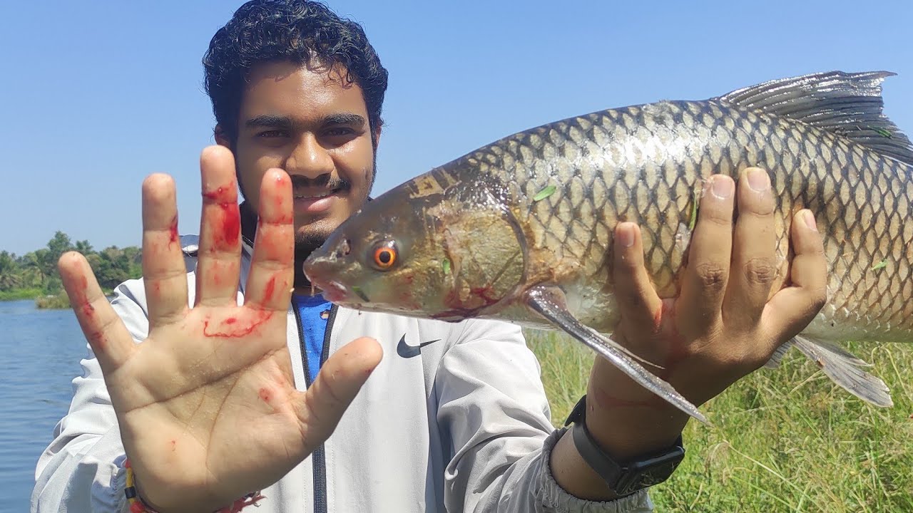 How to catch Fish🎣ll Fishing in kannada🌊⚡ll @loozers_hub7610 - YouTube