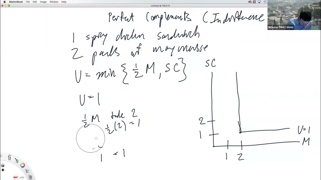 ECON 410 Perfect Complement Indifference Curve - YouTube