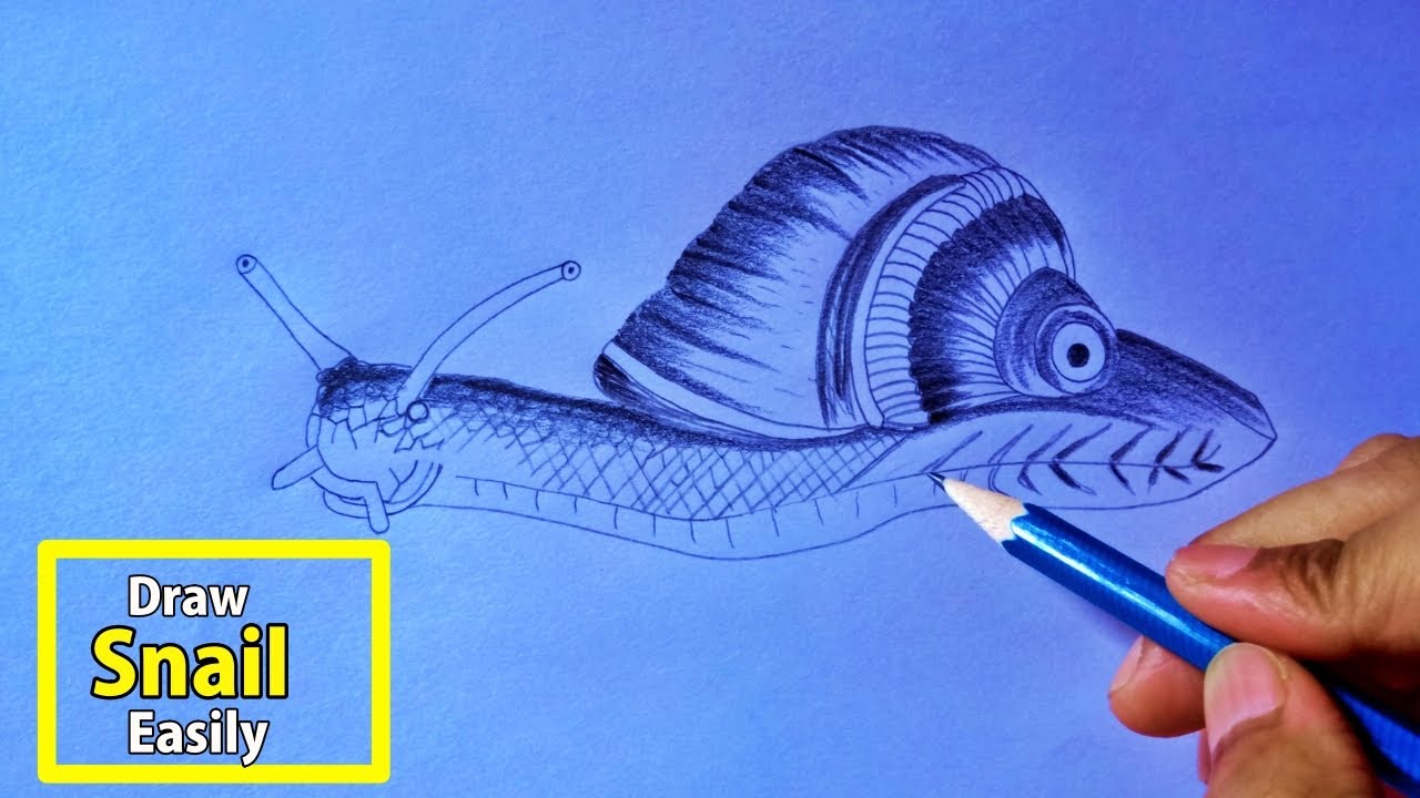 Snail Drawing || how to draw a Snail step by step easily || how to draw ...
