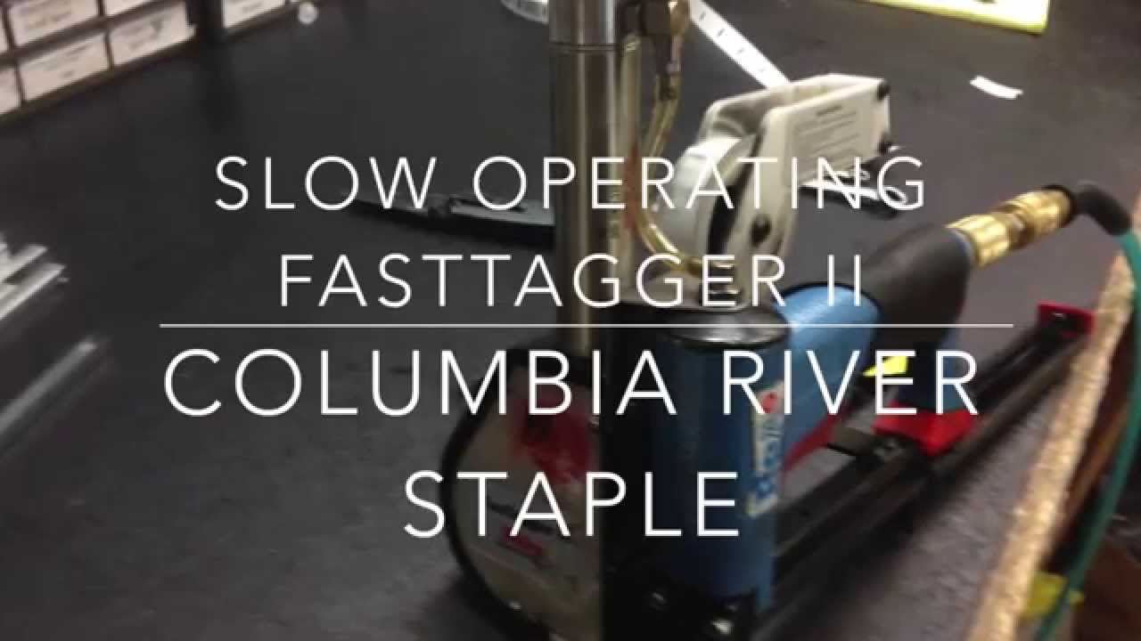 Slow Label Assembly, Fastagger 2 - YouTube