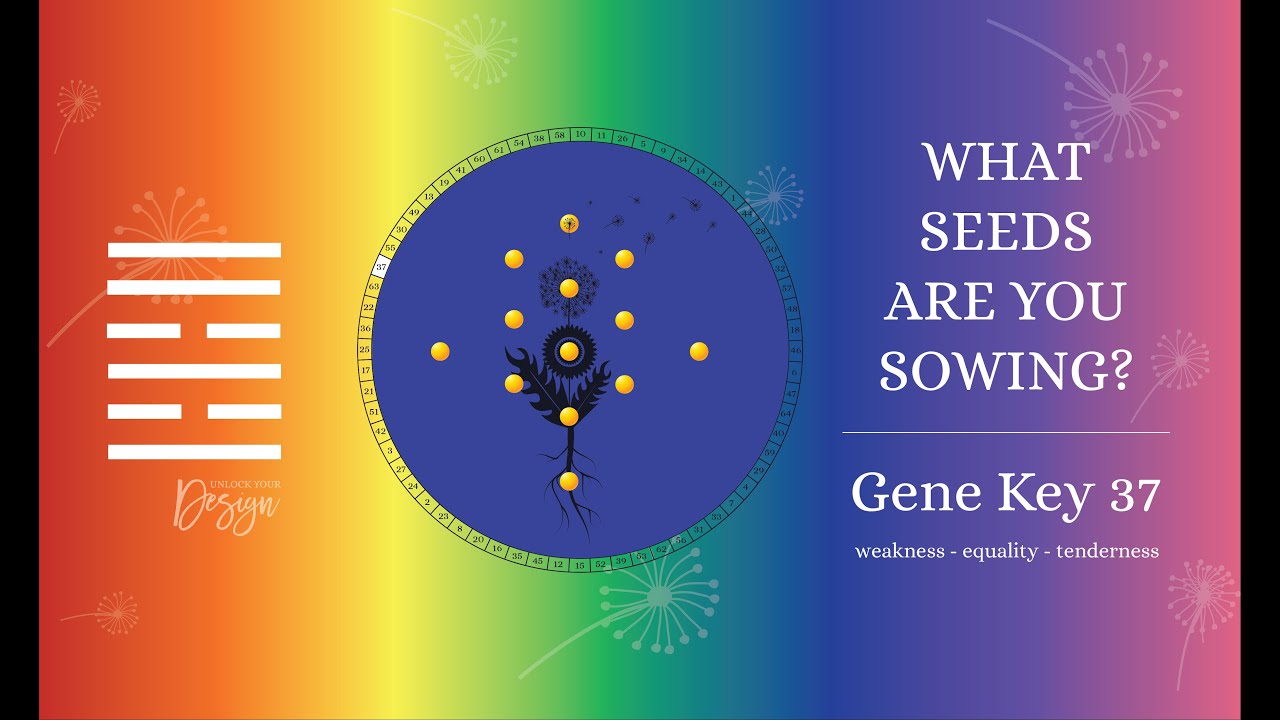 37th Archetype: The Mother (Gene Key 37) - YouTube