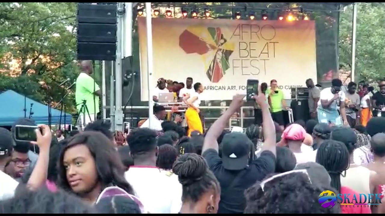 Highlights of Afrobeat Fest in Newark, New Jersey 2019 - YouTube