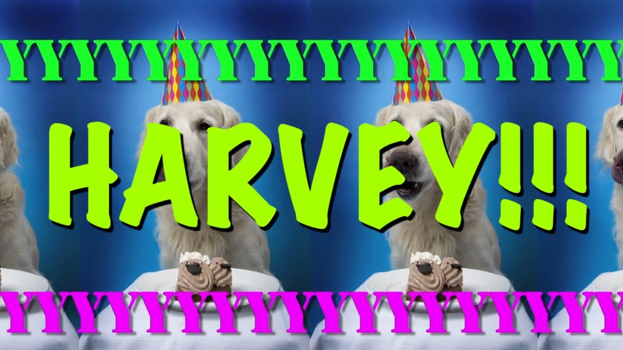 HAPPY BIRTHDAY HARVEY! - EPIC Happy Birthday Song - YouTube