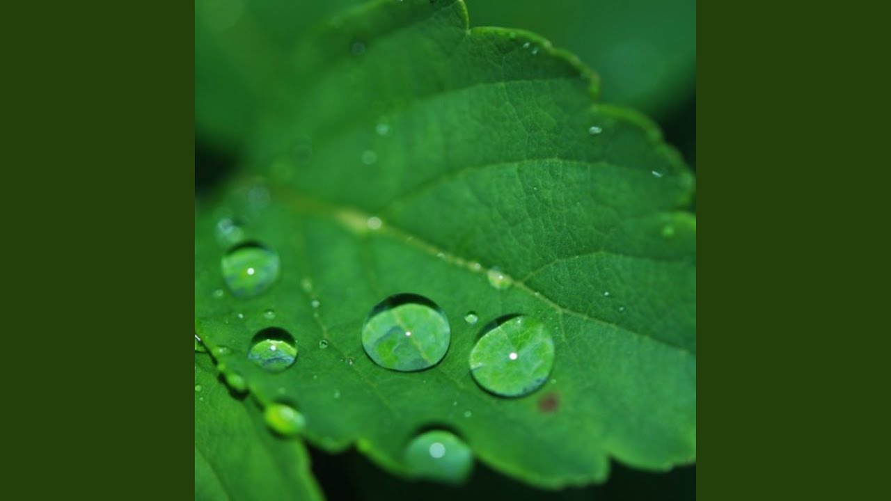 Rain (Loopable) - YouTube