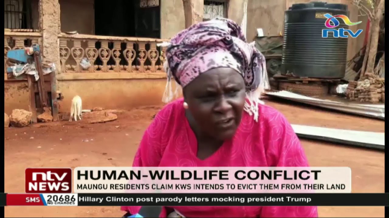 Voi: Maungu residents claim KWS intends to evict them from their land ...