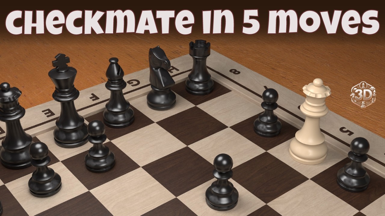 How To Checkmate in 5 Moves | Win Chess Game in 3D Animation - YouTube