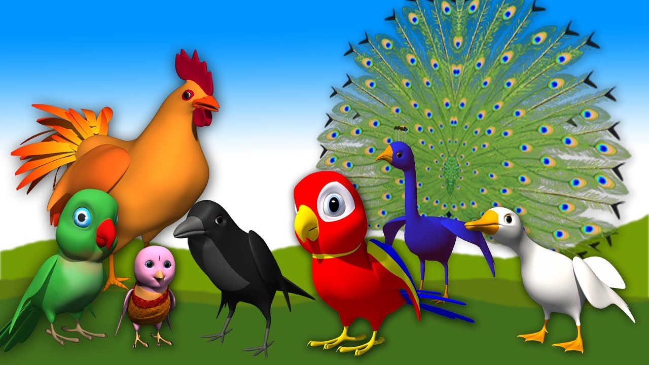 Telugu Rhymes for Children | Little Birds- Burru Pitta Chitti ...