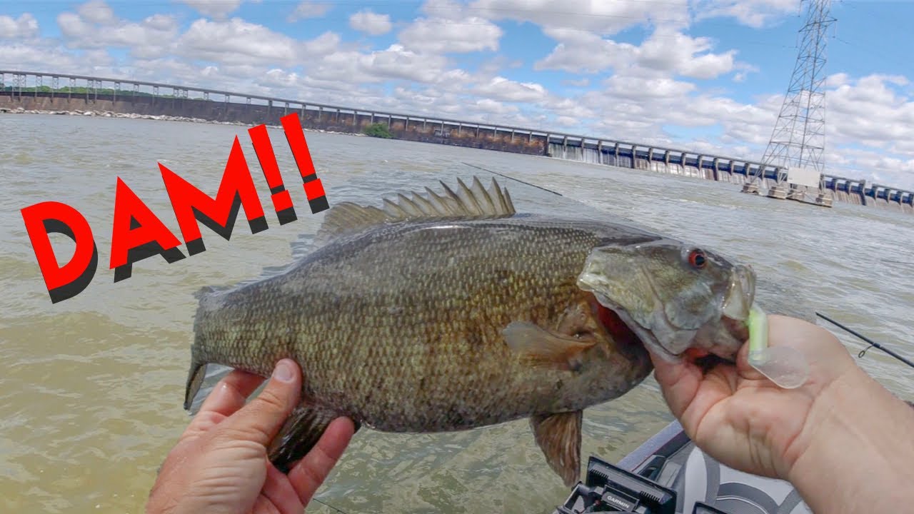 DAM fishing is fun! (Hydroelectric Dam Fishing) - YouTube