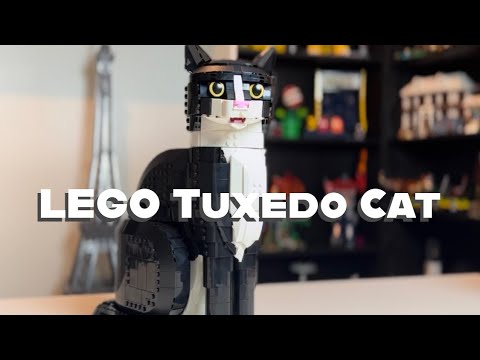 New LEGO Tuxedo Cat - one fine feline! - YouTube