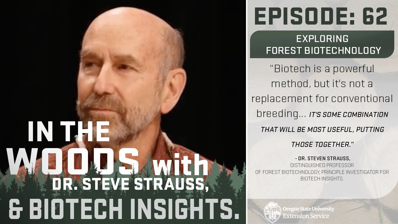 In The Woods: Episode 62 - Exploring Forest Biotechnology - YouTube
