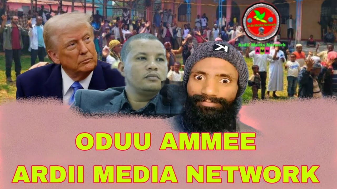 ODUU AMMEE, ARDII MEDIA NETWORK, Bitootessa 11/2025 - YouTube