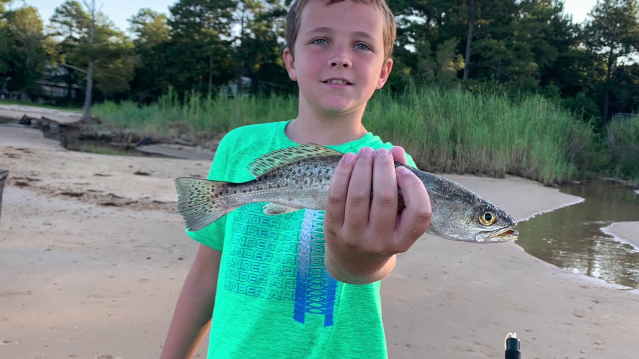 09.07.2020: Jubilee on the Eastern Shore of Mobile Bay - YouTube