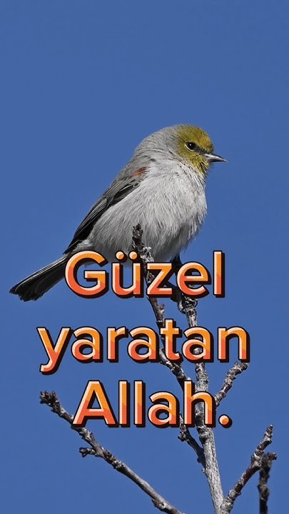 Kur'an meali Secde/ 7...10 - YouTube