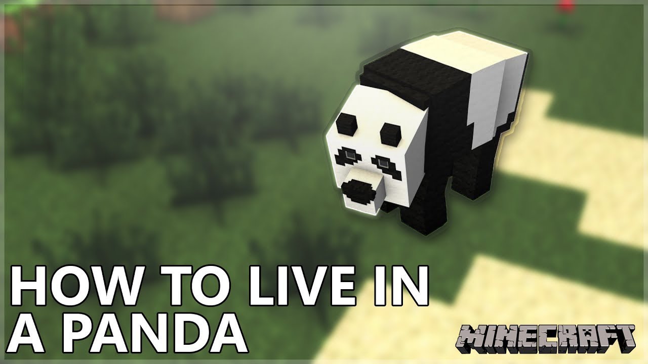 Minecraft: How To Live Inside the Panda in Minecraft - Survival House ...