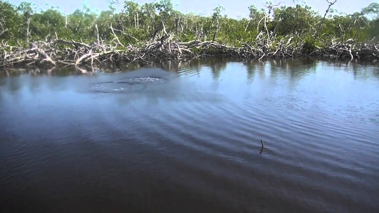 Scott S4S 6 wt slam - YouTube