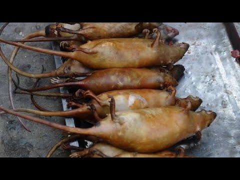 🔴 Comida De Rua Na India Rato 🐭 Frito Com Arroz - YouTube