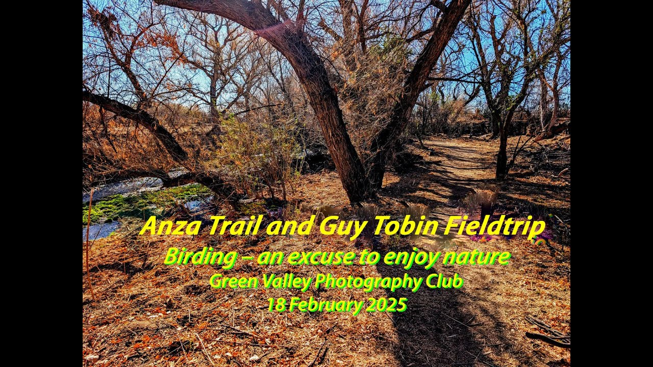 Anza Trail Birding at Guy Tobin Trailhead February 2025 - YouTube