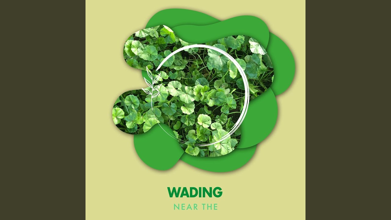 Rustling Goodness - YouTube
