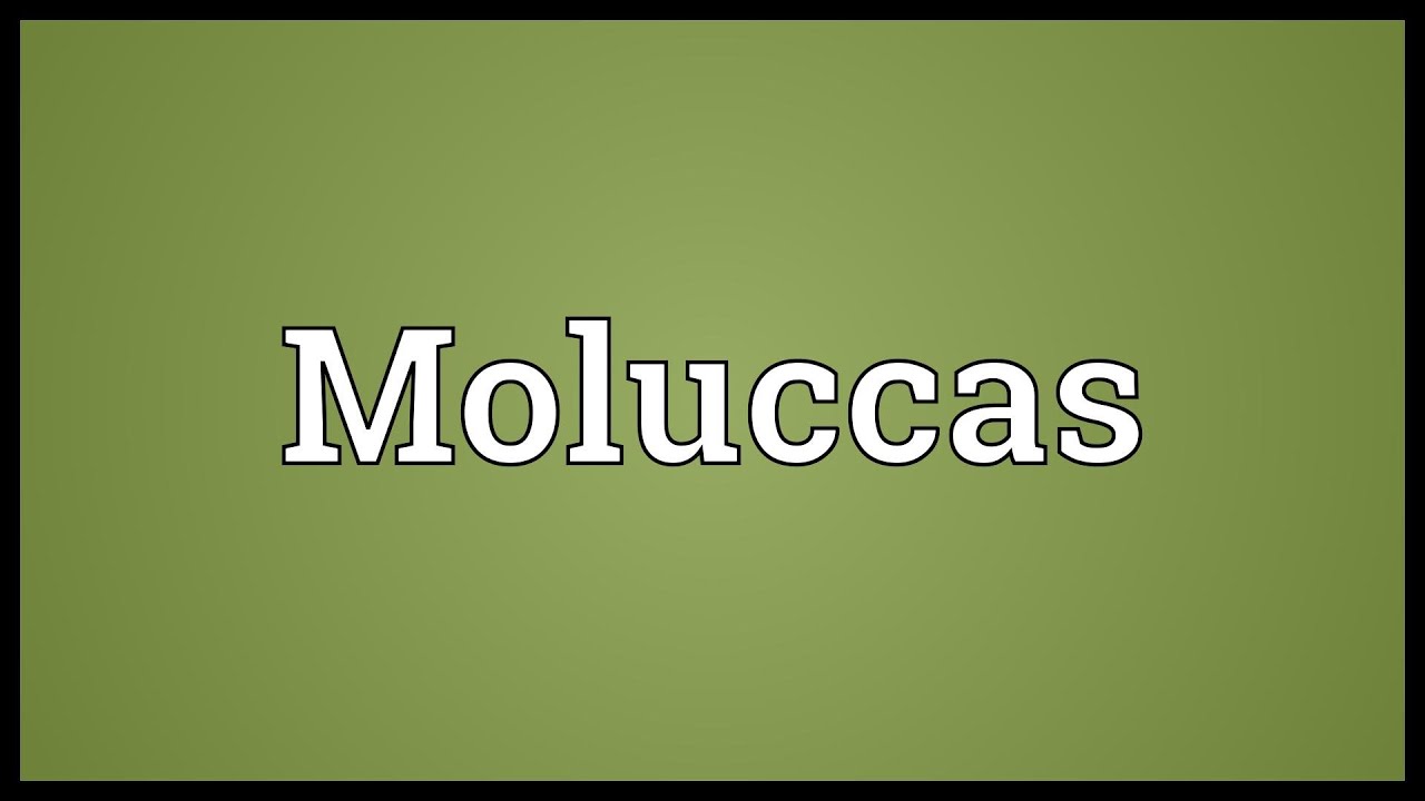 Moluccas Meaning - YouTube