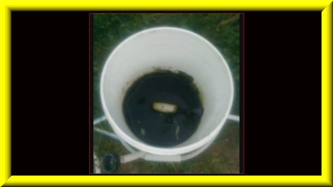 A Minor Problem With The Automatic Watering System For Wicking Barrels ...