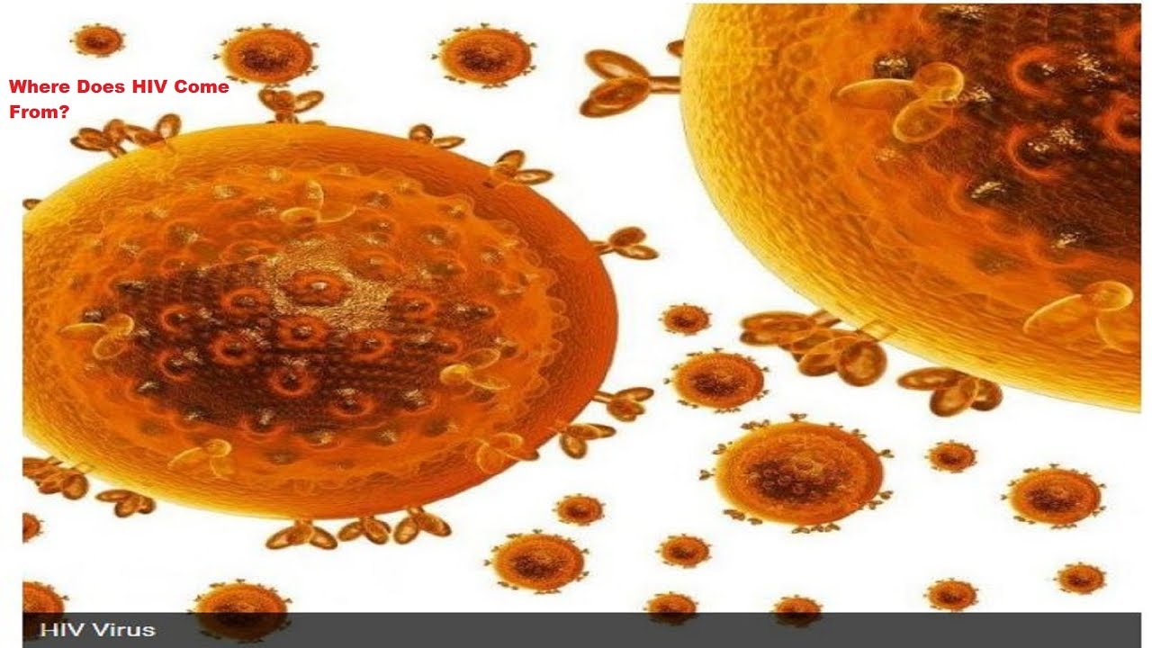 Origin of HIV, or Where Does HIV Come From? - YouTube