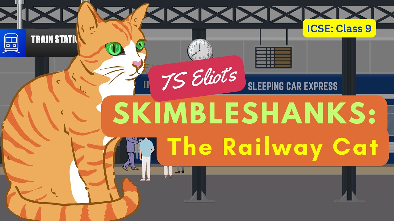 Cats Railway Lines at Kevin Blankenship blog