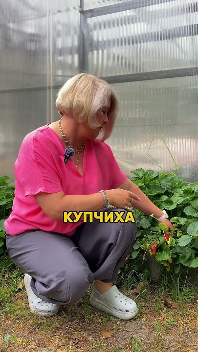 Самая сладкая клубника - YouTube