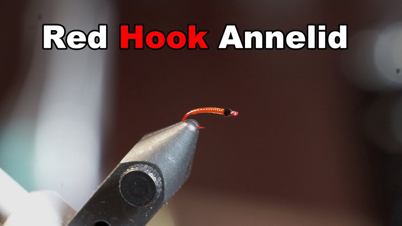 Red Hook Annelid - Flashy and Simple Annelid - McFly Angler Fly Tying ...