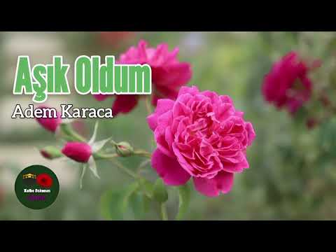 Aşık Oldum -Adem Karaca