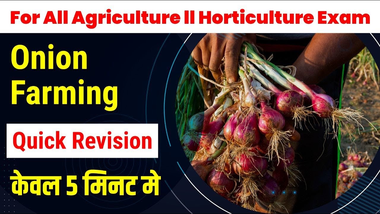 Onion Cultivation # Onion cool season vegetables # Cool season ...
