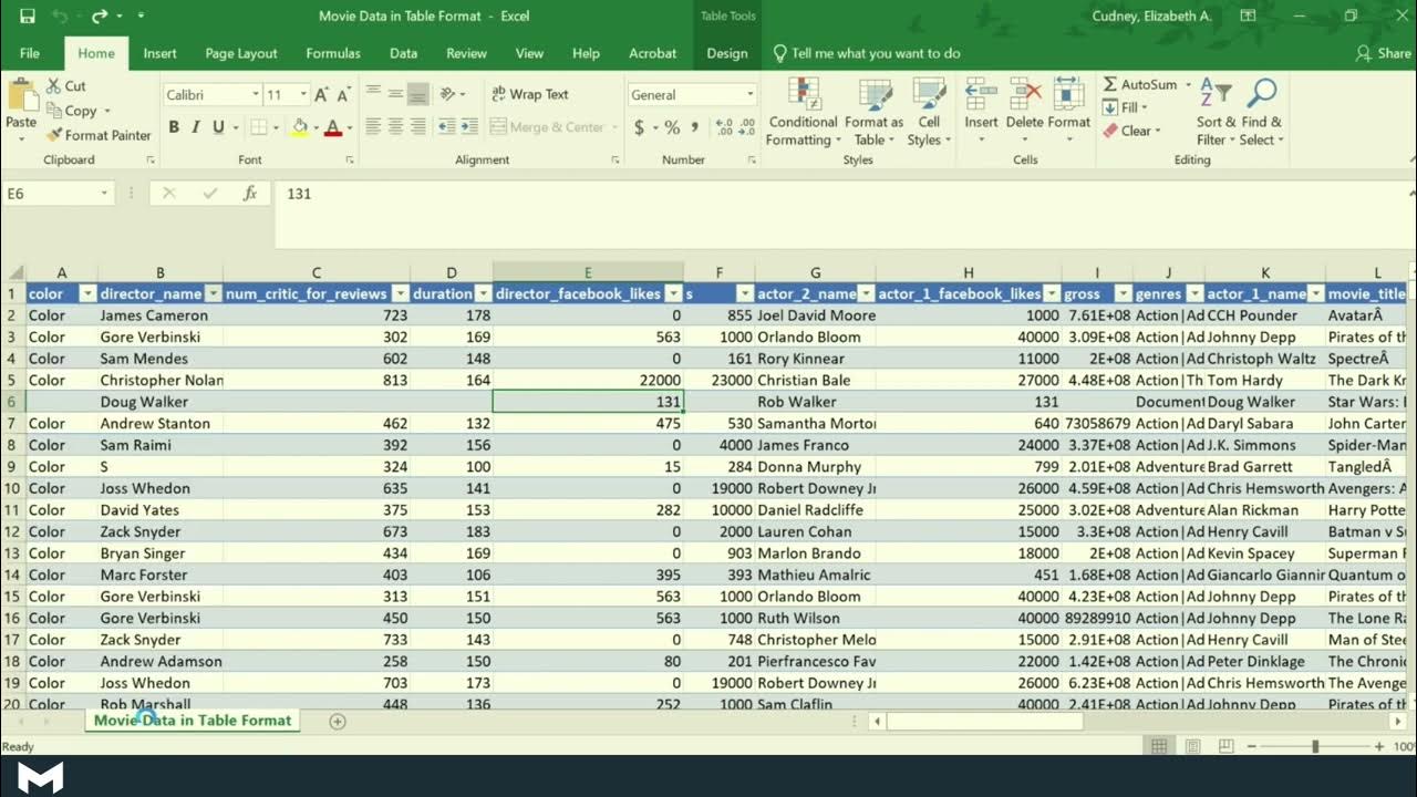 Excel Tutorial: Data Filtering for Efficient Analysis - YouTube