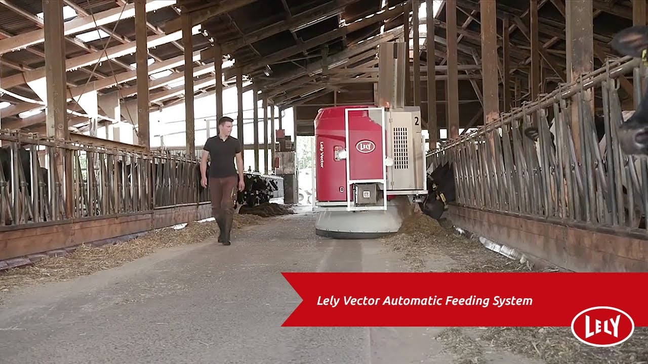 Lely Vector Automatic Feeding System - YouTube