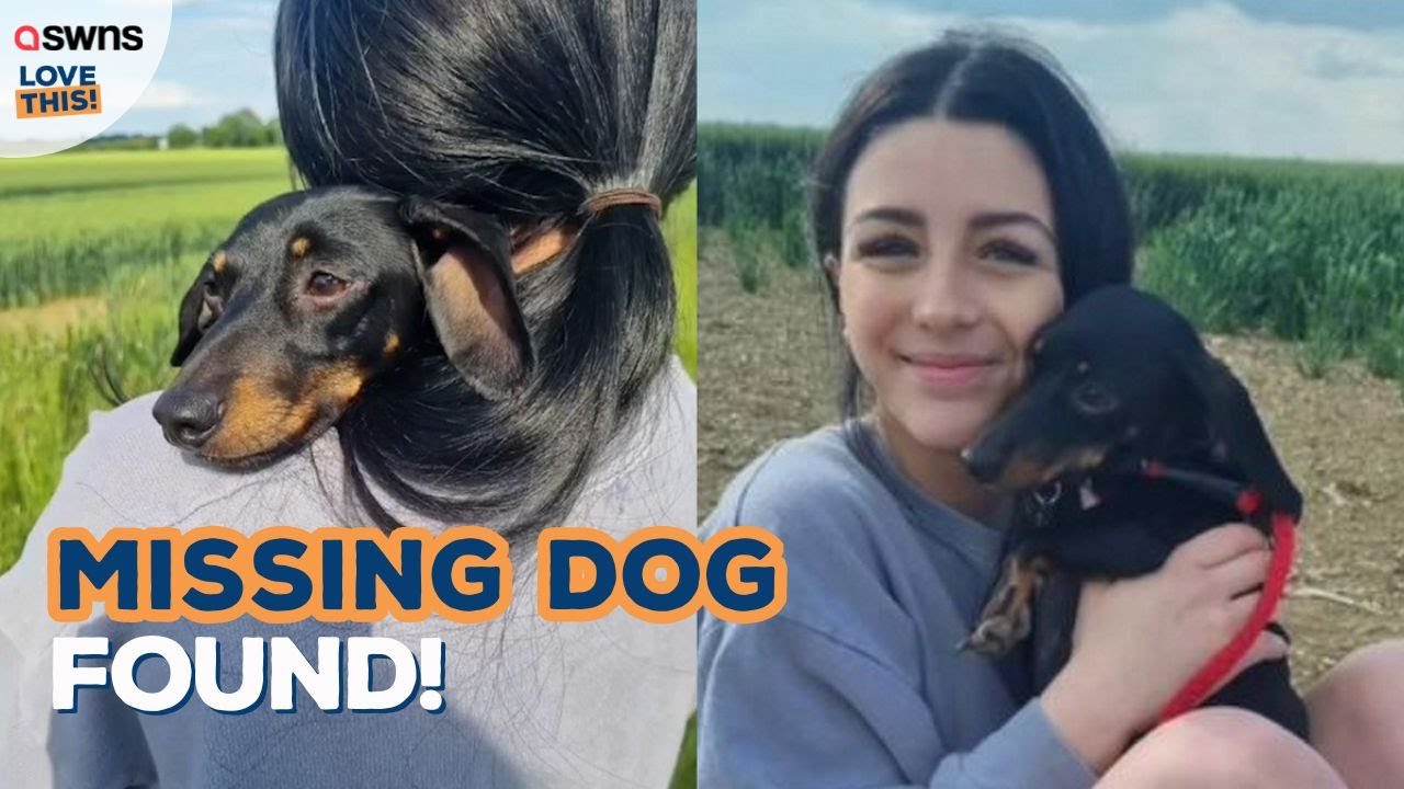 Owner reunited with dog after 10 days missing 🥰🐶 | LOVE THIS! - YouTube