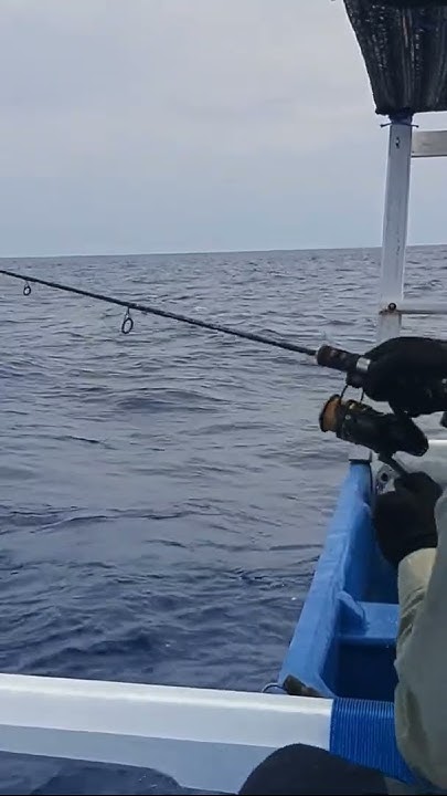 Double Strike ‼️ Masih di rumpon tuna #jigging #tuna #rumpontuna #doublestrike #shorts #short ...