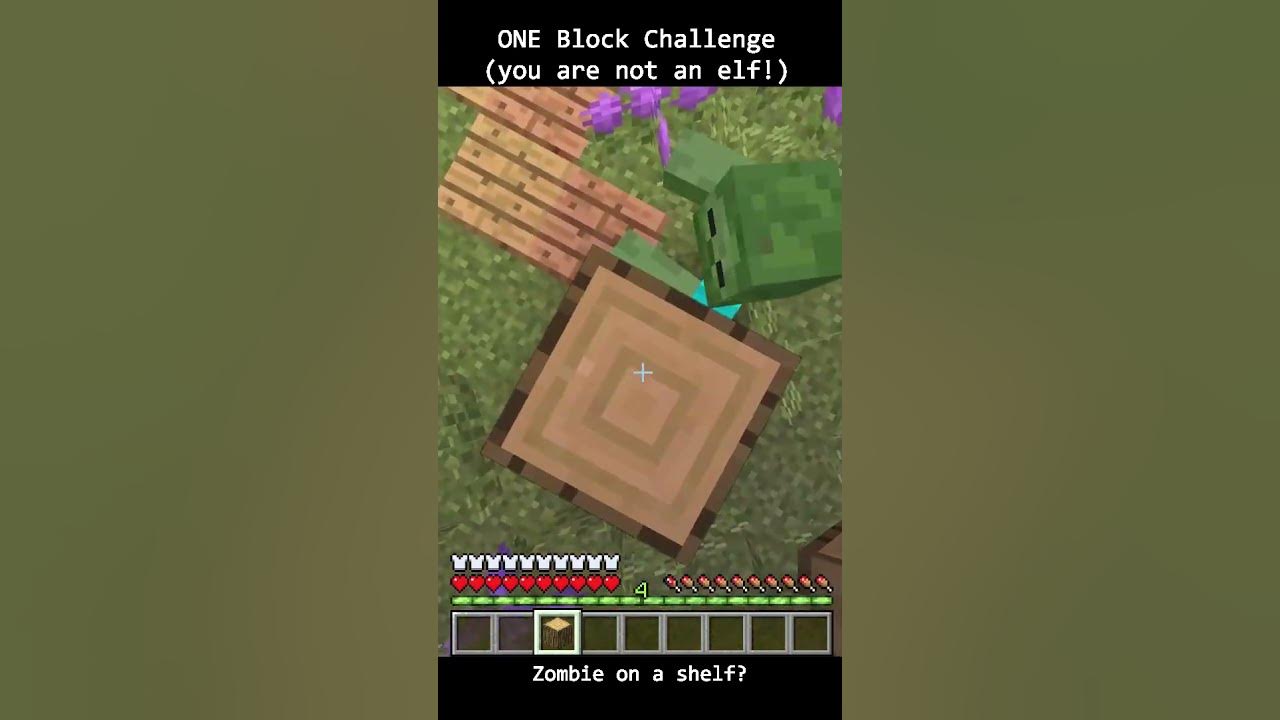 Minecraft One BLOCK per day (Minecraft Elf on a shelf) - Minecraft 1.7 Biomes O' Plenty (day 36 ...