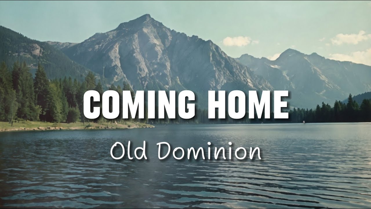 Skylar Grey - Coming Home - Cover Lyrics - YouTube