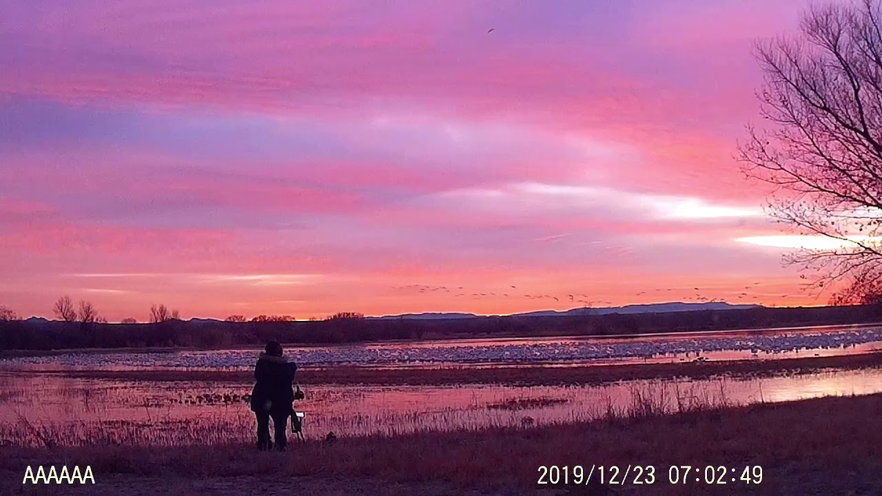 Blast Off at Bosque del Apache New Mexico.december -23-2019 - YouTube