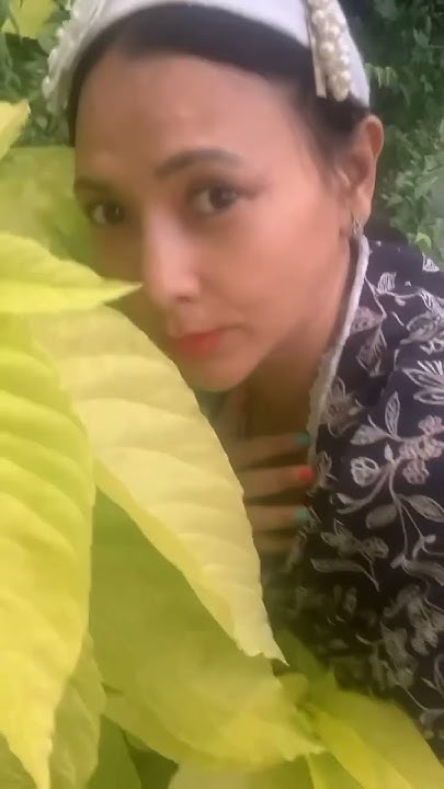 12 พฤศจิกายน 2567 - YouTube