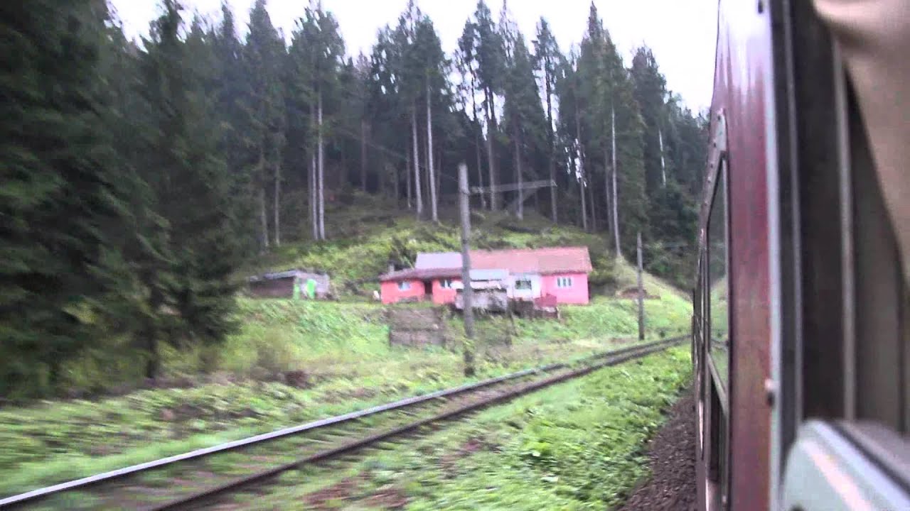 Valea Timisului din IR 1742/12742 Satu Mare-Bucuresti N-Constanta ...