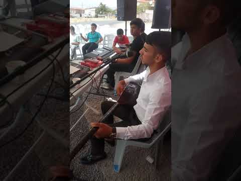 Ali Şahin Turnaların Göçü 2019