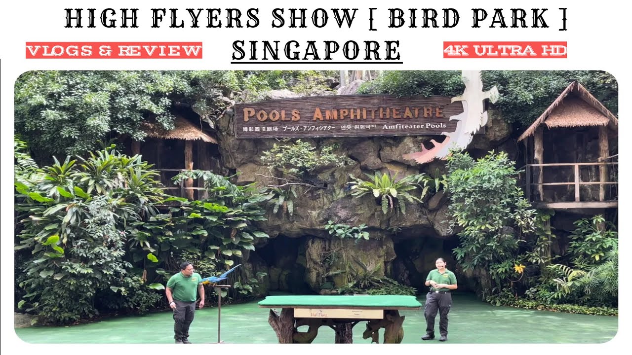 High Flyers Show at Pools Amphitheatre | Jurong Bird Park | 4K UHD ...