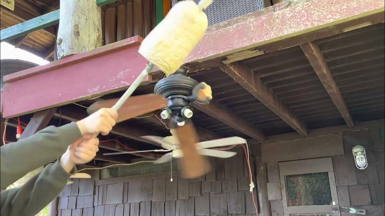 Ceiling Fan Destruction #33 - YouTube