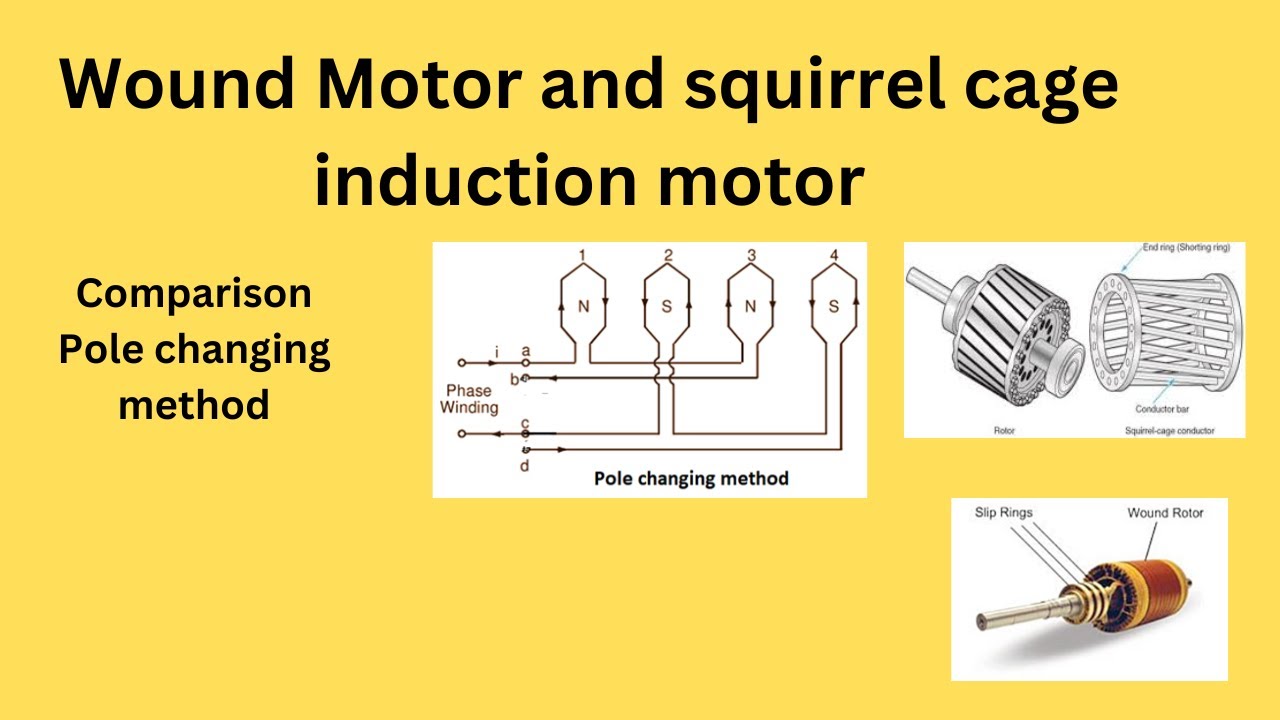 comparison between SRIM and Squirrel cage induction motor and speed ...