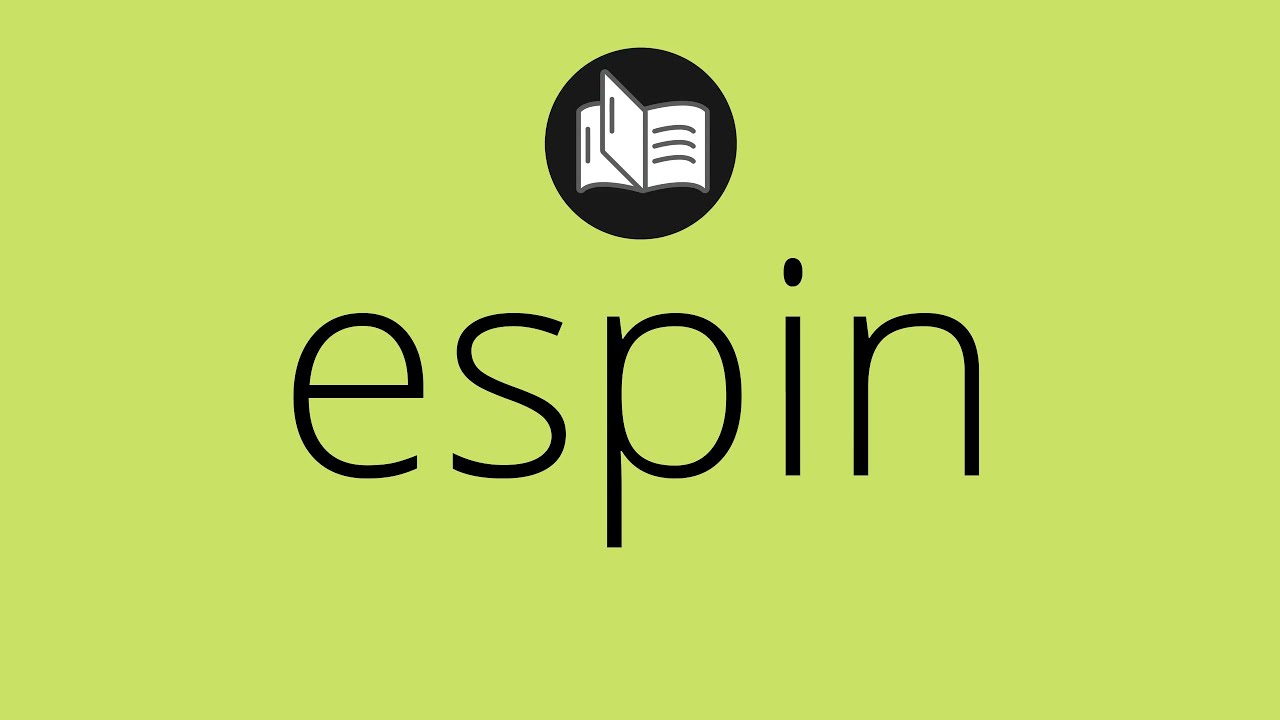 Que significa ESPIN • espin SIGNIFICADO • espin DEFINICIÓN • Que es ...