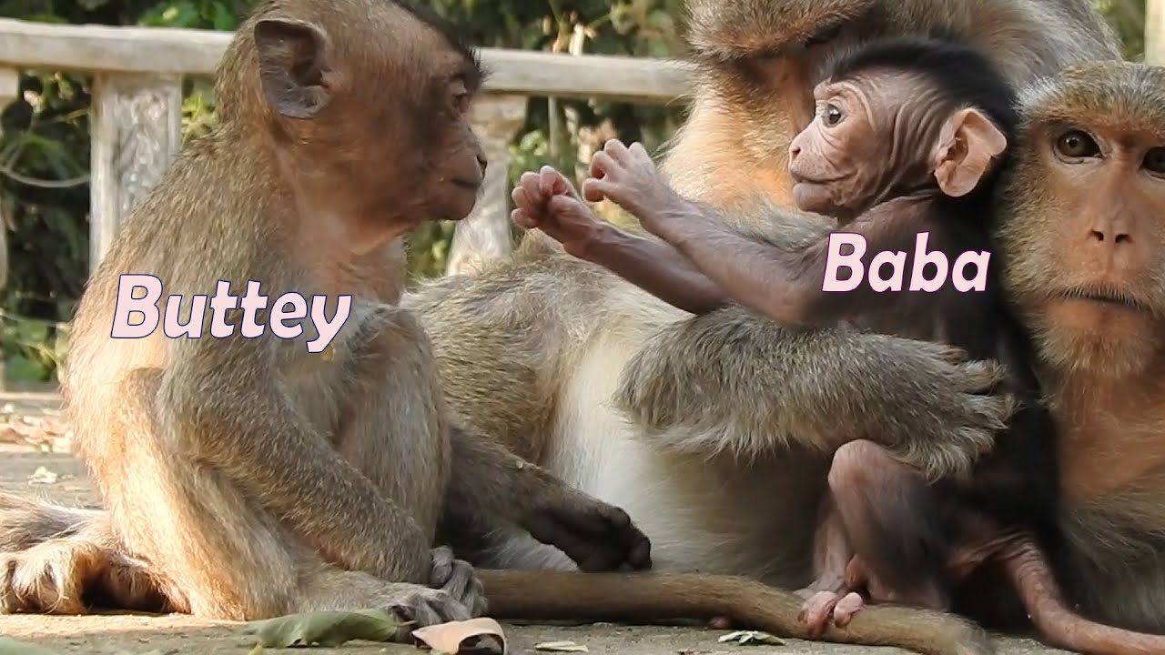 Cutest baby attractive 2020, The beautiful of baby Baba make Buttey don ...
