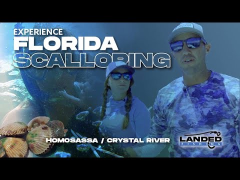 Experience Florida Scalloping in Crystal River Florida | Florida Bay ...