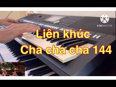 Liên khúc cha cha cha 144 | dung an suong travel - YouTube